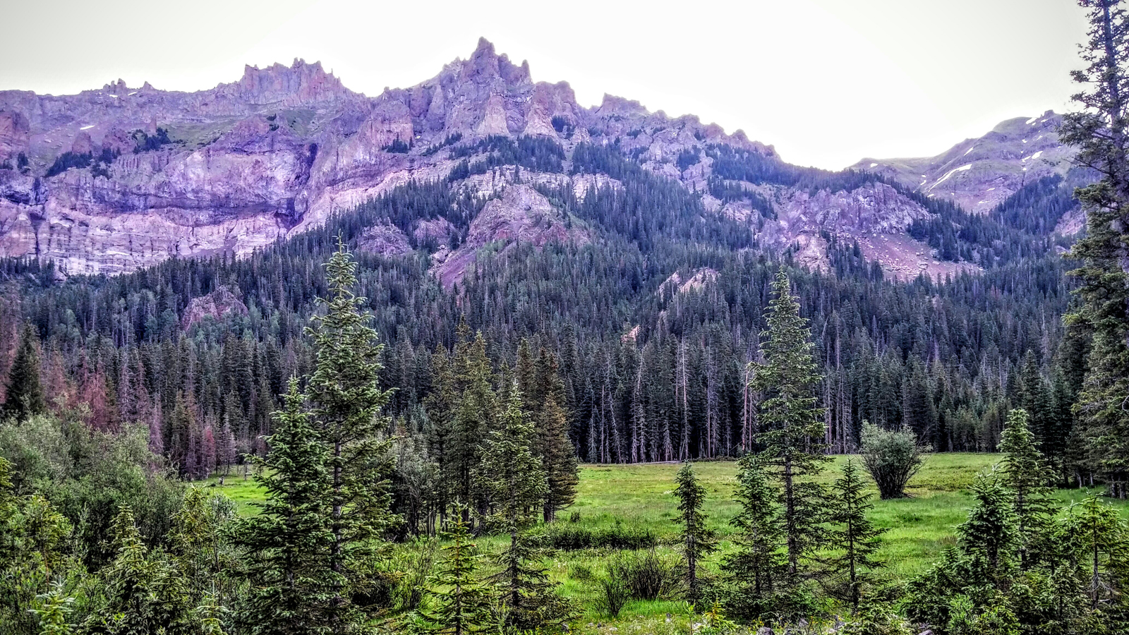 About Us - Cimarron Creek Community | Montrose, Colorado